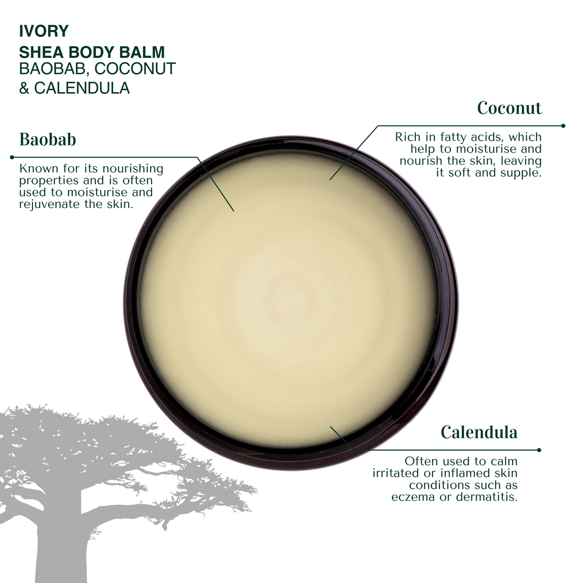 Ivory Shea Body Balm | Yanga Natural